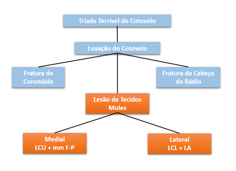 Tríade terrível do cotovelo - E-fisio